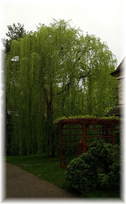 Daily Encouragement (Archive Edition)