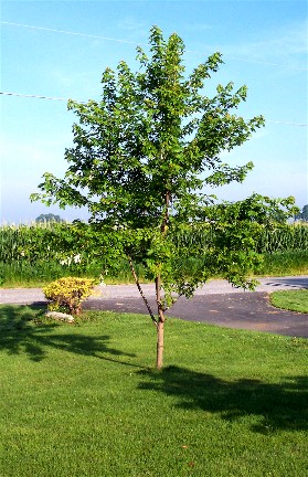 Daily Encouragement (Archive Edition)